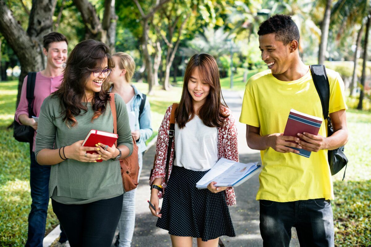 Student internships and placements – TASO